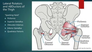 Anatomy Lab exercise 12 | PPTX