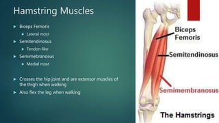 Anatomy Lab exercise 12 | PPT