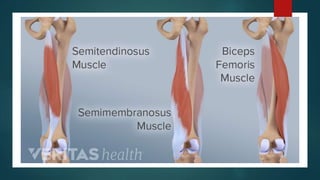 Anatomy Lab exercise 12 | PPT
