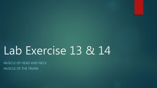 Anatomy Lab exercise 13 and 14 | PPT