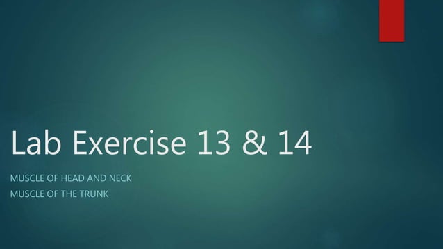 Anatomy Lab exercise 13 and 14 | PPT