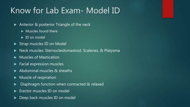 Anatomy Lab exercise 13 and 14 | PPT