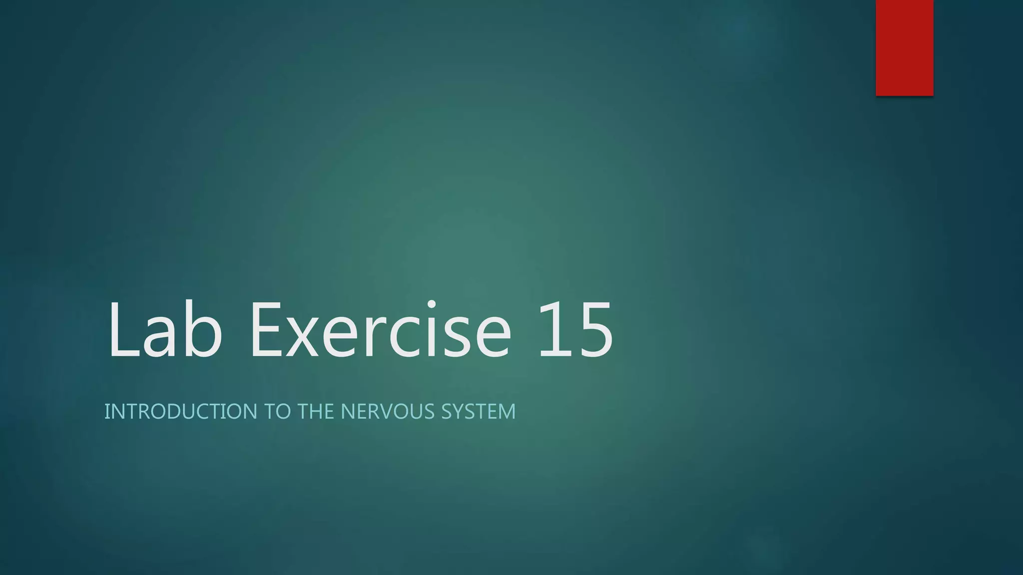 Anatomy Lab Exercise 15 Ppt Free Download