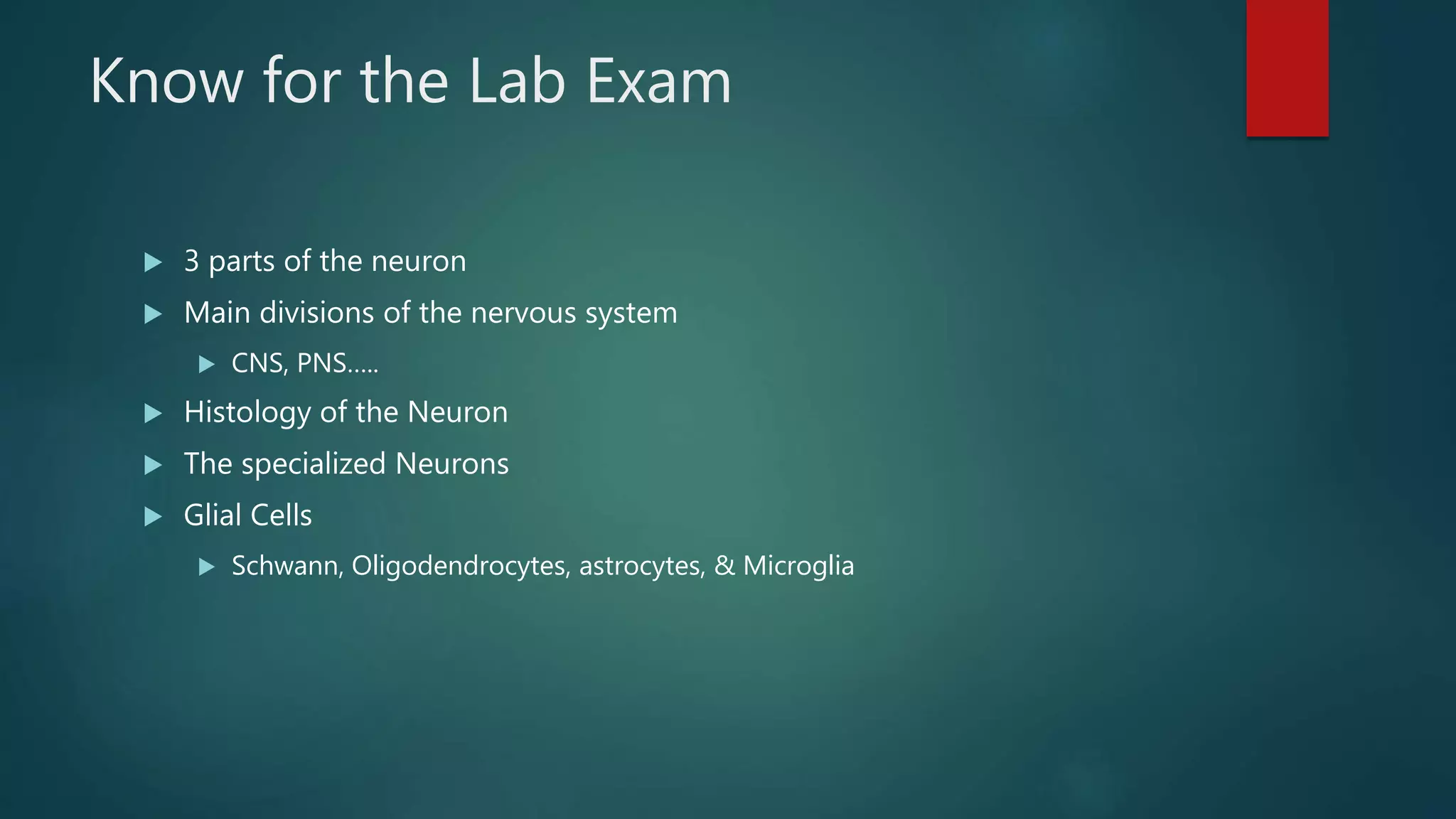Anatomy Lab exercise 15 | PPTX