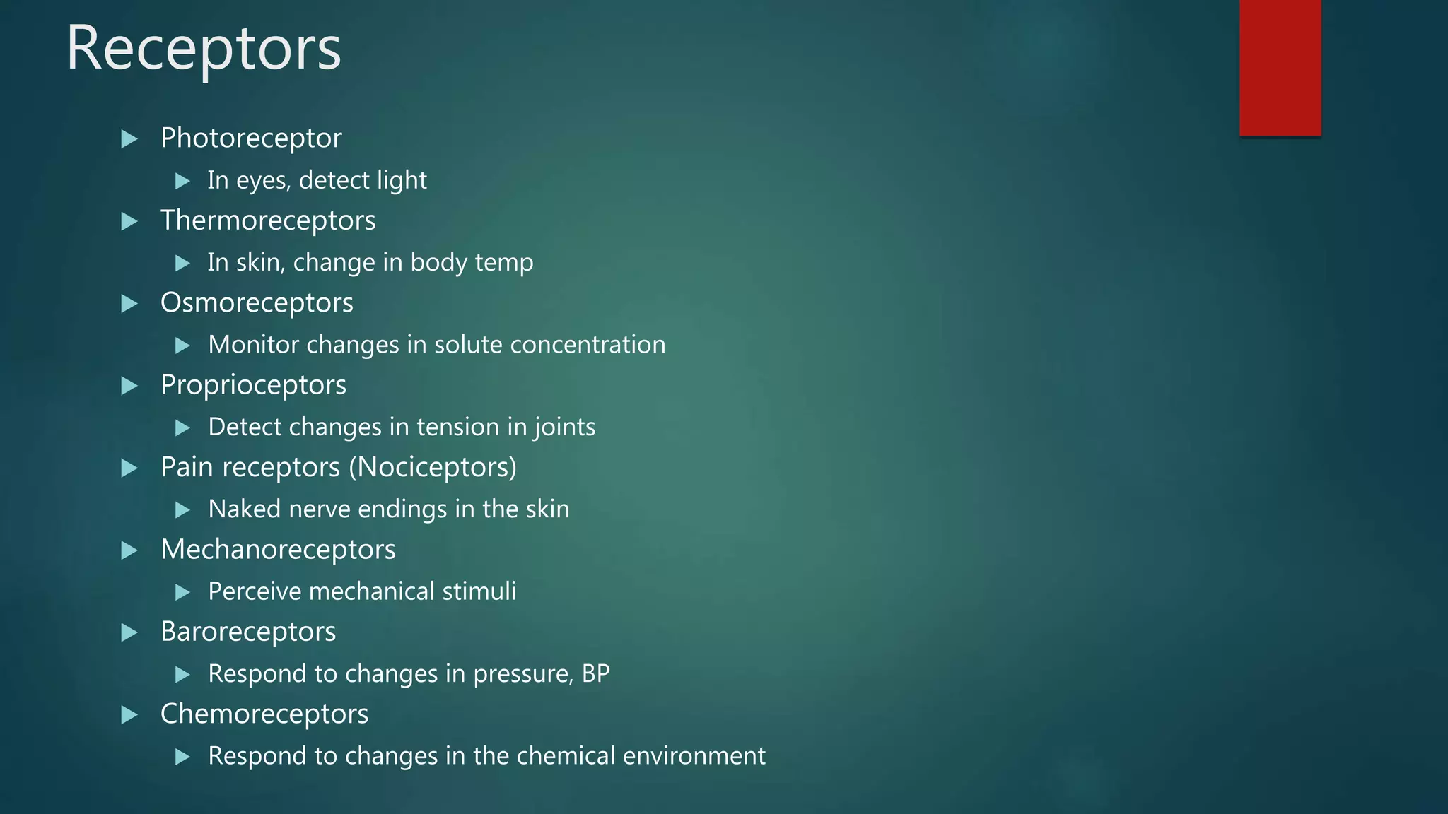 Anatomy Lab Exercise 18: Intro Sensory Receptors | PPTX