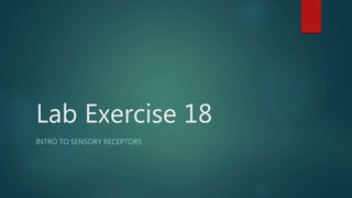 Anatomy Lab Exercise 18: Intro Sensory Receptors | PPT