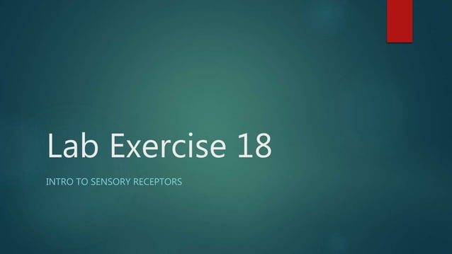 Anatomy Lab Exercise 18: Intro Sensory Receptors | PPT | Free Download