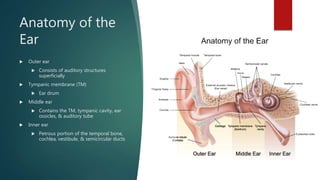 Anatomy Lab Exercise 18: Intro Sensory Receptors | PPT