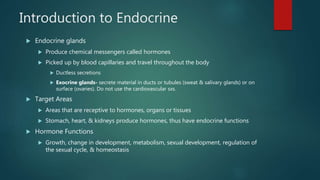 Anatomy Lab exercise 19 | PPT