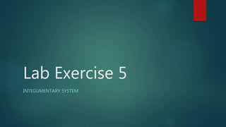 Anatomy Lab exercise 5 | PPTX