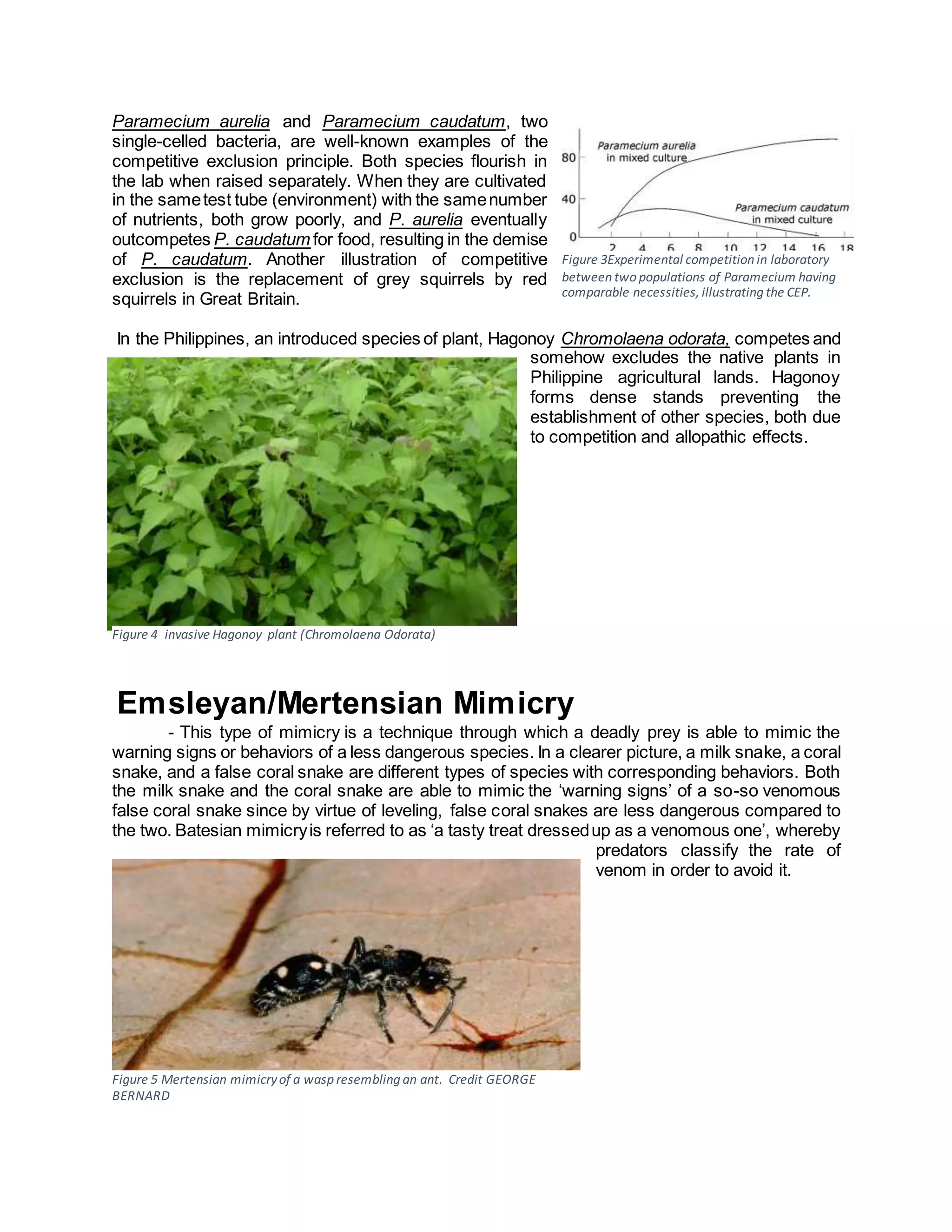 Lab Exercise 5 Pdf