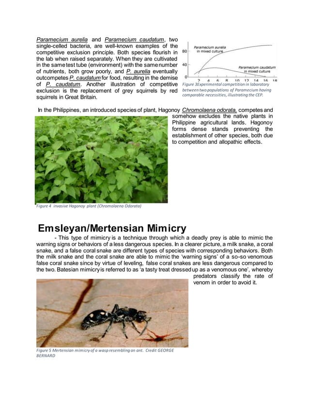 Lab Exercise 5 Pdf 9362