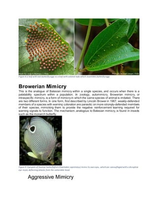 Lab exercise 5 | PDF