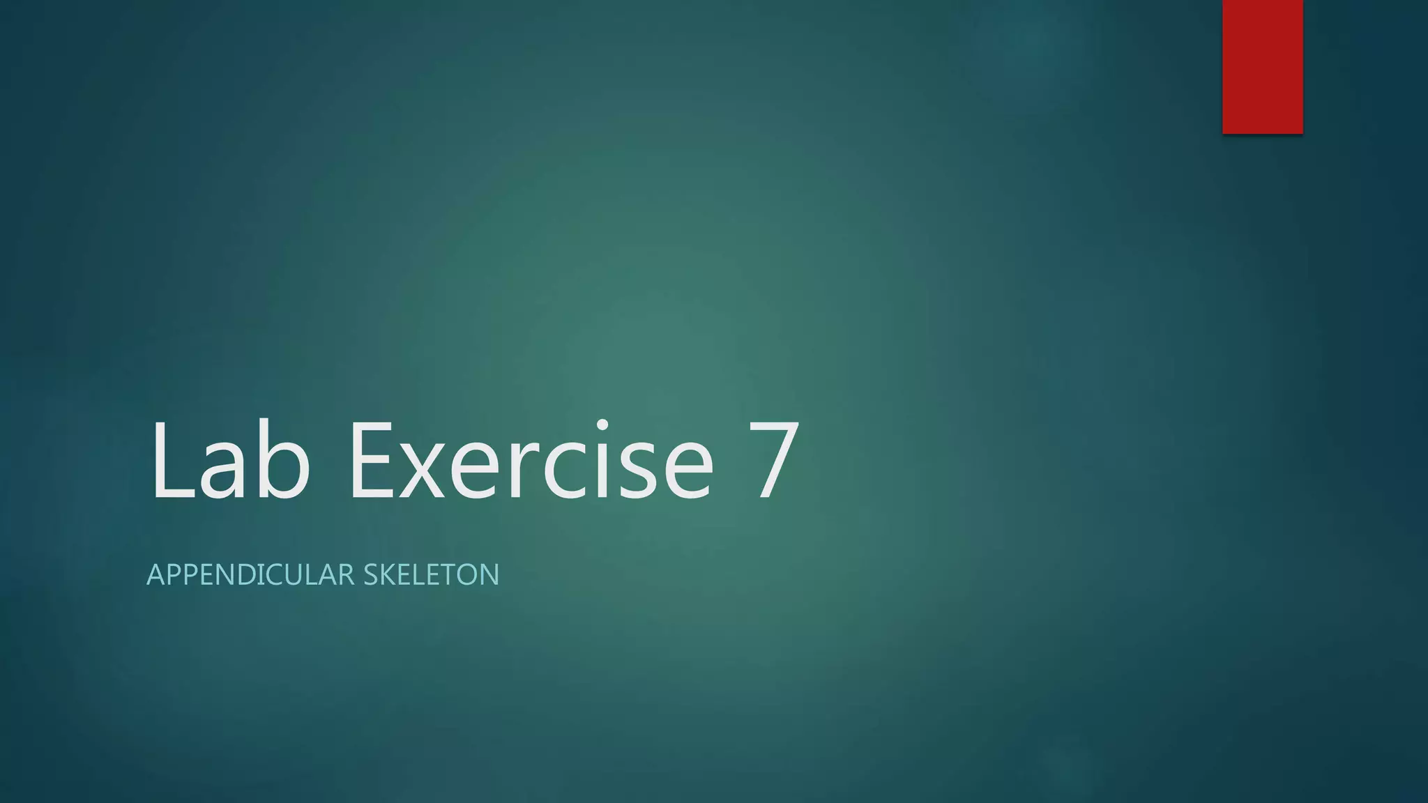 Anatomy Lab Exercise 7 Ppt 