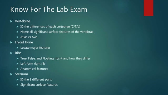 Anatomy Lab exercise 8 | PPTX