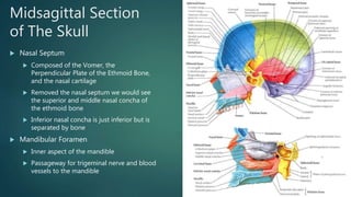 Anatomy Lab exercise 9 | PPT