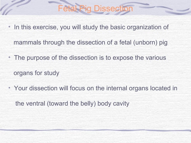 Dissection of Fetal Pig | PPT | Lung and Respiratory Health | Diseases ...