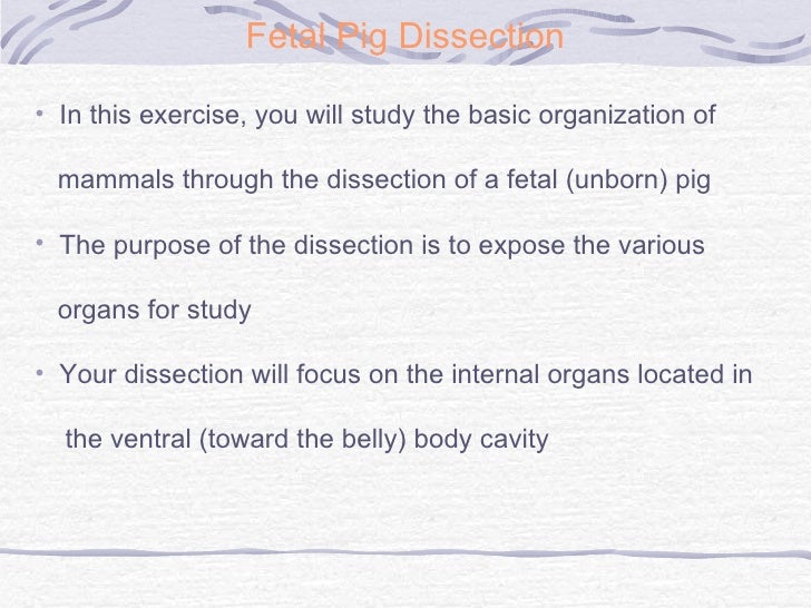 Pig Pre Lablab Mr T Science
