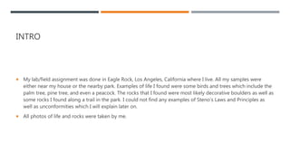 Lab/field assignment | PPT