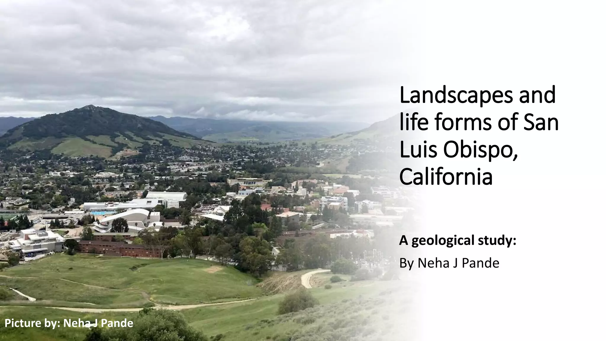 lab field assignment- Neha J Pande.pptx | Geography | Science