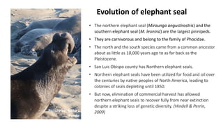 lab field assignment- Neha J Pande.pptx