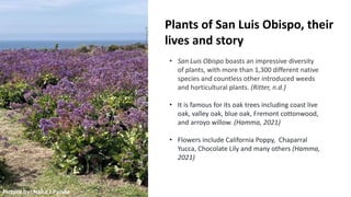 lab field assignment- Neha J Pande.pptx