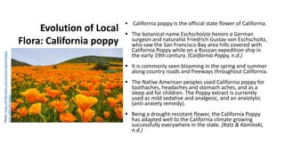 lab field assignment- Neha J Pande.pptx