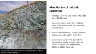 lab field assignment- Neha J Pande.pptx