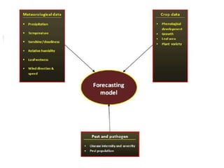 Forecasting of pest and diseases based on weather | PPT