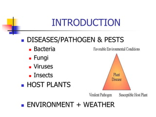 Forecasting of pest and diseases based on weather | PPT