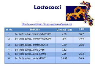 Lactic acid bacteria whole genome sequencing | PPTX