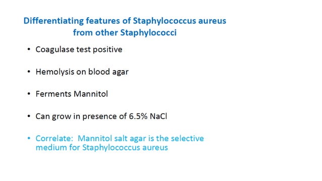Identification of gram positive cocci | PDF