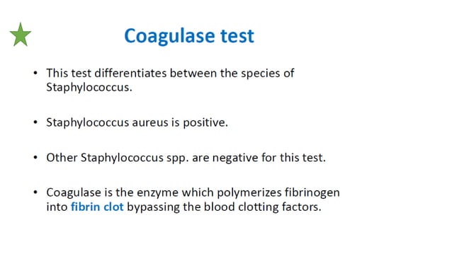 Identification of gram positive cocci | PDF