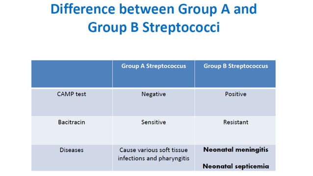 Identification of gram positive cocci | PDF