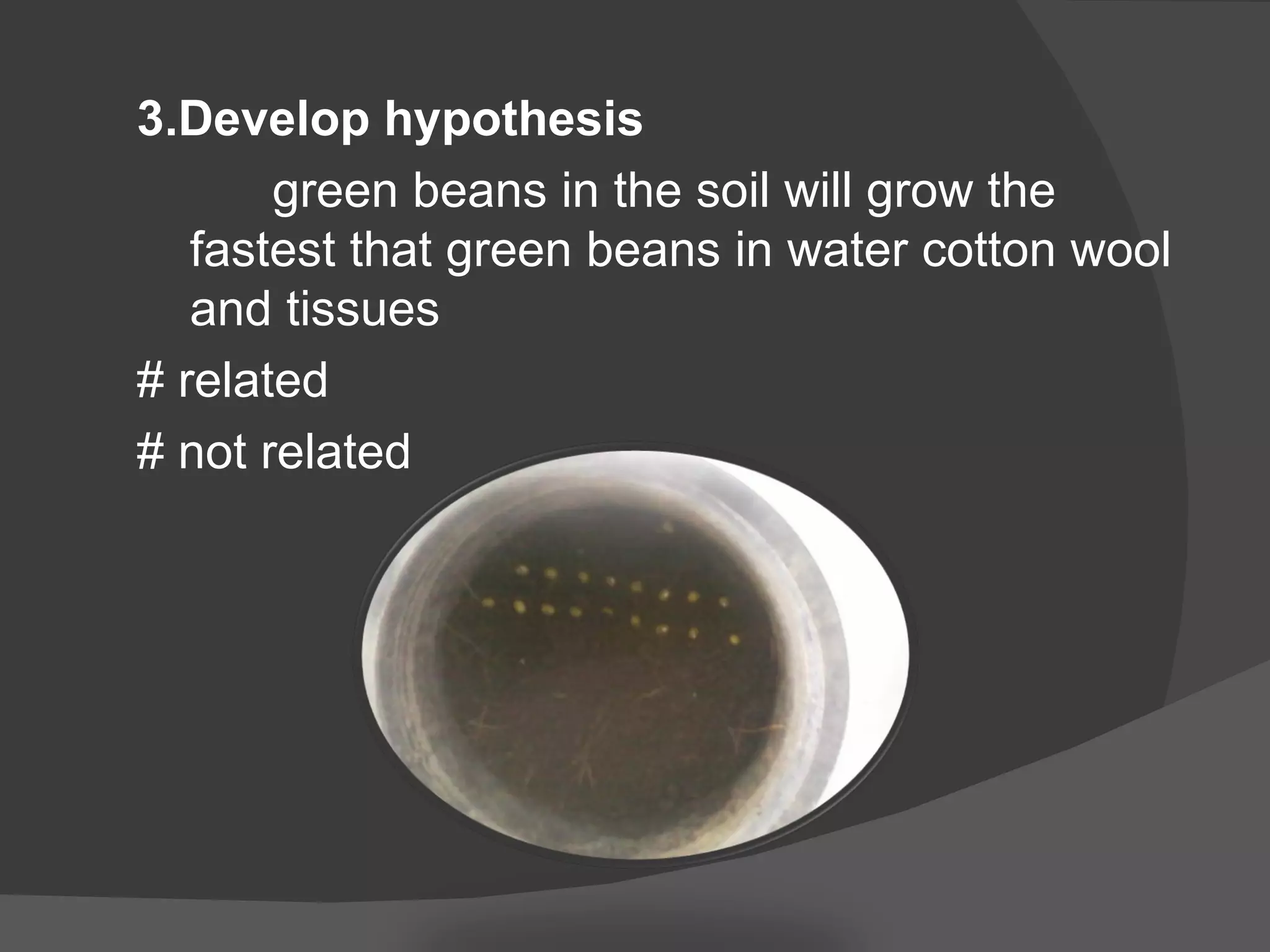 Lab' green mung beans2003 | PPT | Free Download