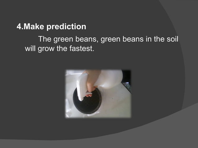 Lab' green mung beans2003 | PPT | Free Download