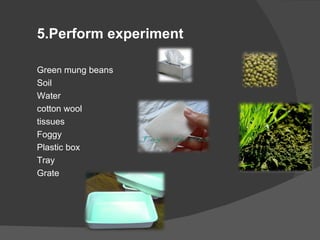 Lab' green mung beans2003 | PPT | Free Download