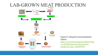 LAB GROWN MEAT.pptxn | PPTX