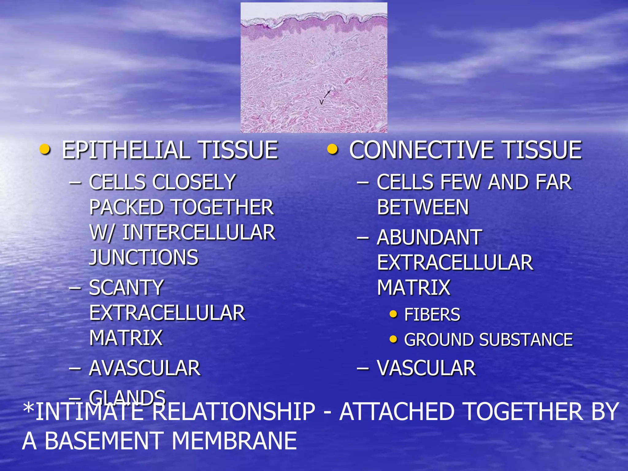 LAB GUIDE ON SKIN 2005.PDF