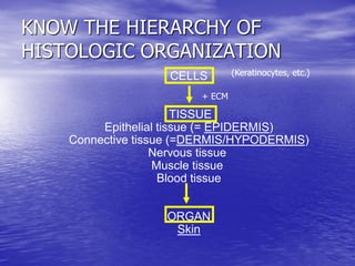 LAB GUIDE ON SKIN 2005.PDF