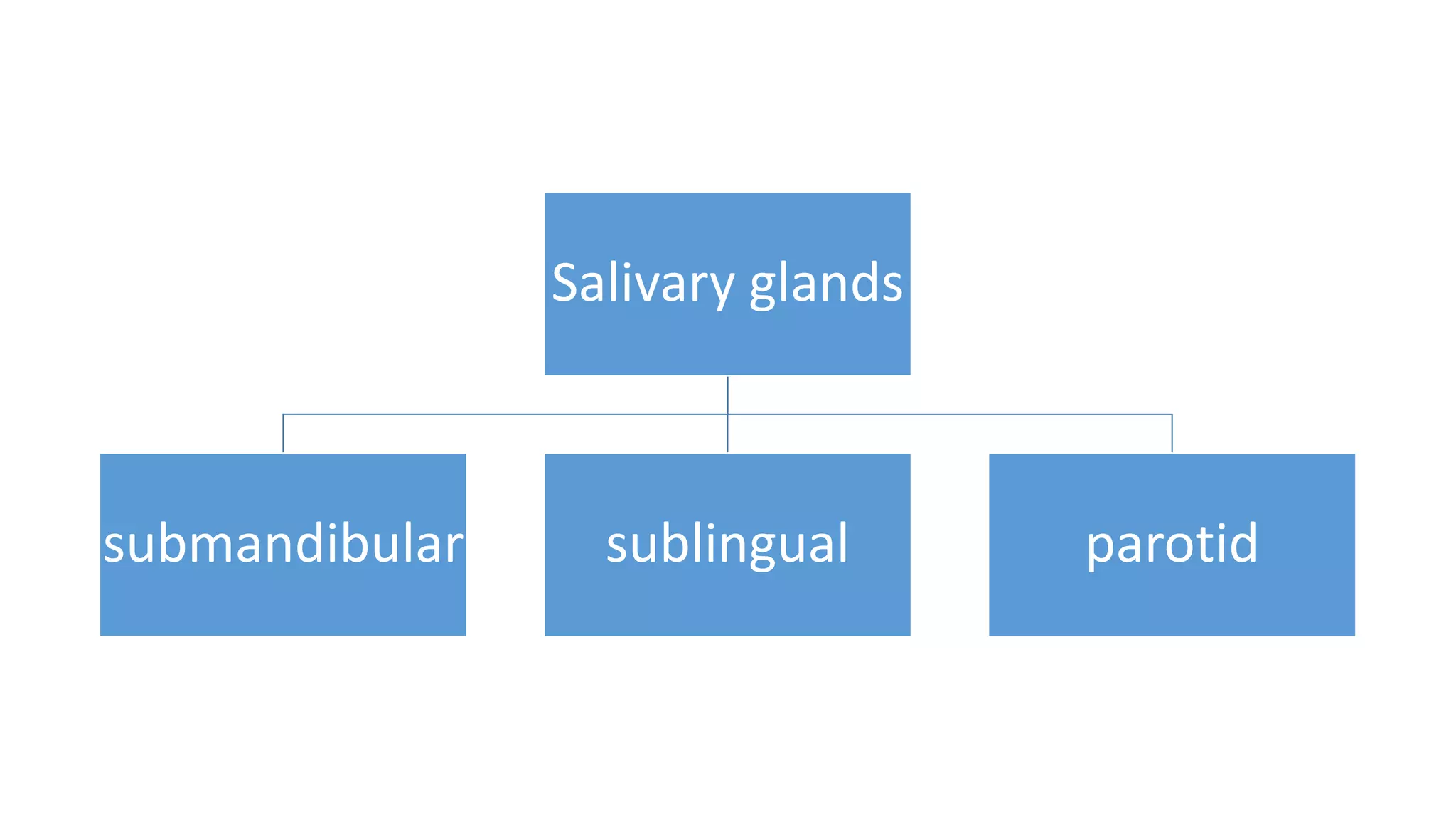 histology slides of GIT system | PPTX