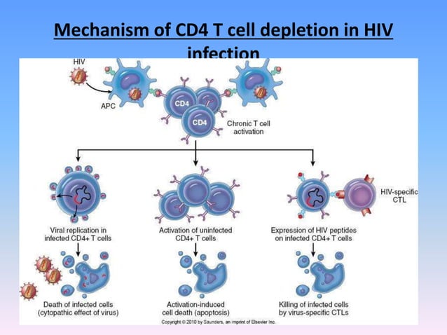Laboratory monitoring of Progression of HIV | PPT