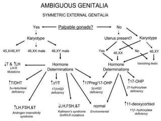 Labial adhesion | PPTX