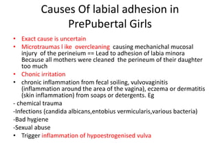 Labial Adhesions In Adults