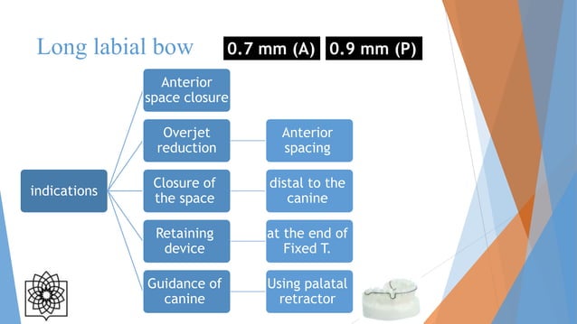 Labial bow Functions , Constructions , Types & Indications. | PPTX ...