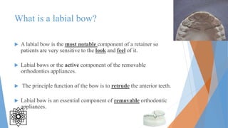 Labial bow Functions , Constructions , Types & Indications. | PPTX