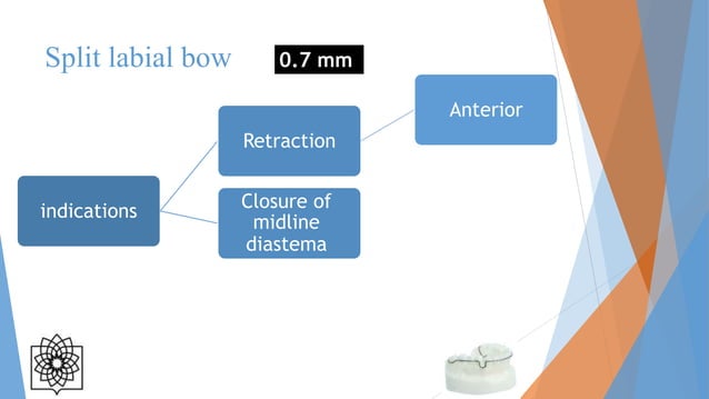 Labial bow Functions , Constructions , Types & Indications. | PPTX ...
