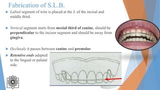 Labial bow Functions , Constructions , Types & Indications. | PPTX