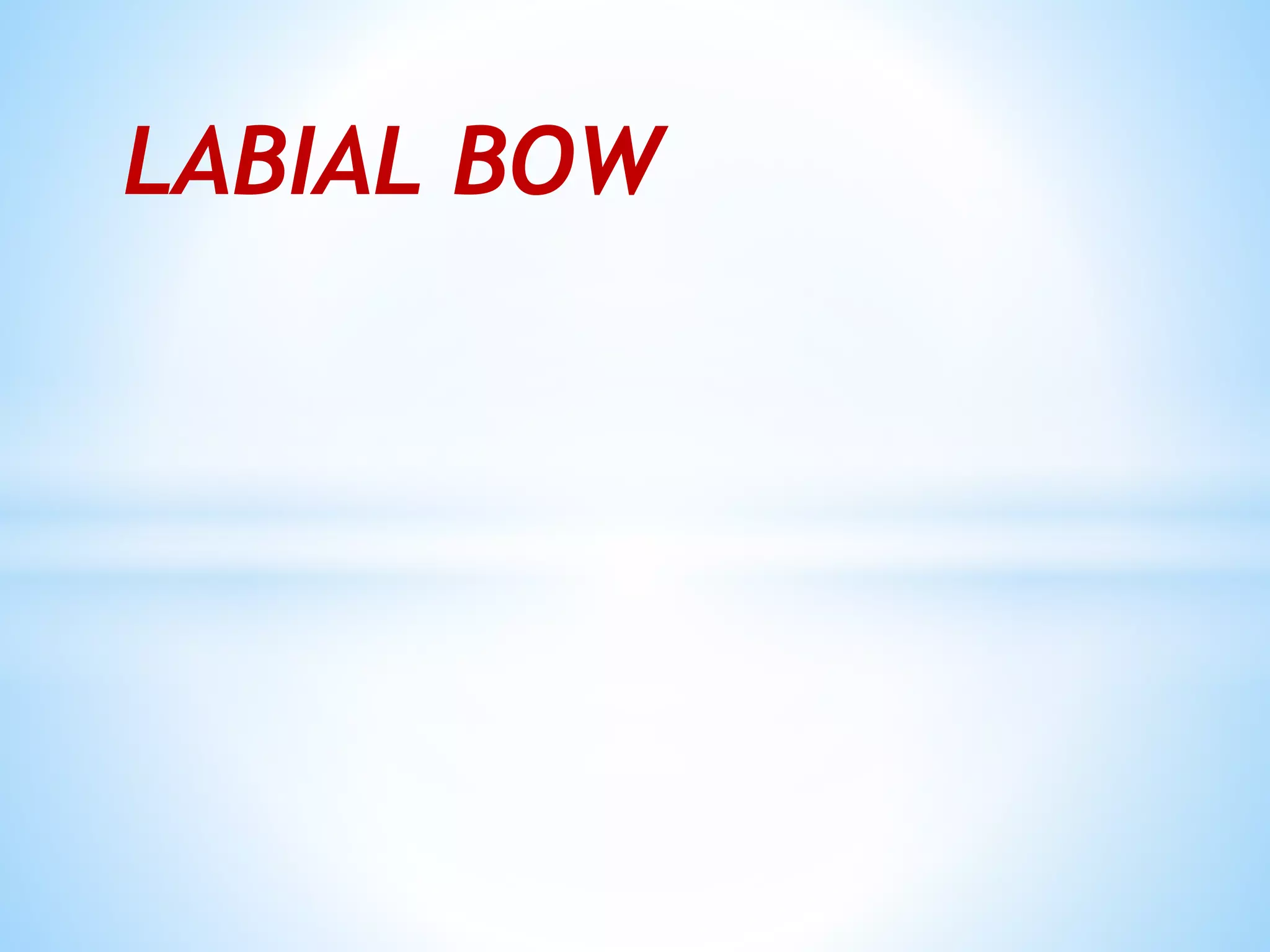 Labial bows | PPTX