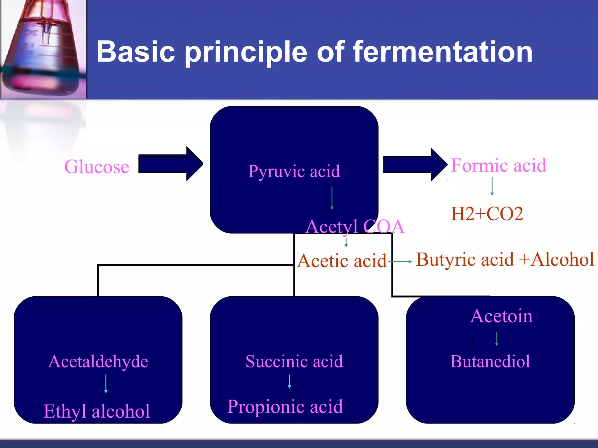 Lab identification of enterobacteriacae | PPT